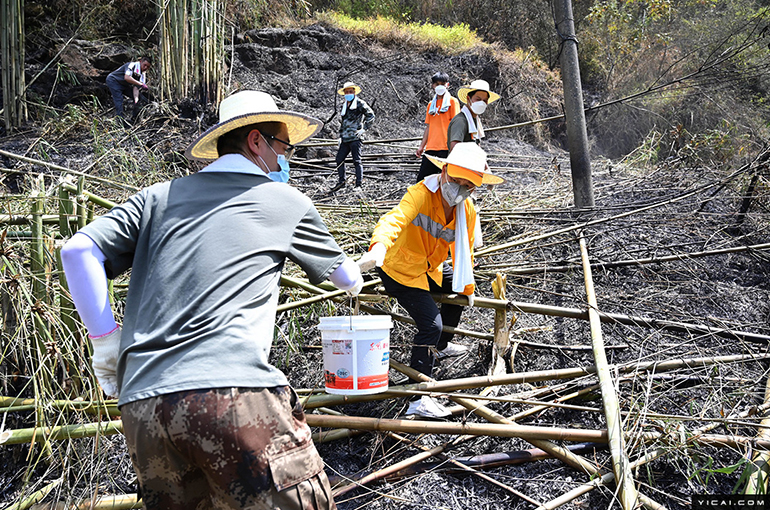 [In Photos] China’s Chongqing Battles Wildfires Amid Extreme Heat