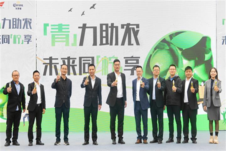 Bud-China Lime Rural Vitalization Project Paints Scene of Prosperity in ...
