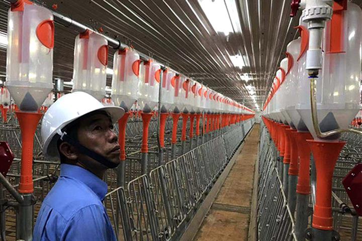 China's New Hope to Add 17 Pig Farms to Meet Booming Demand