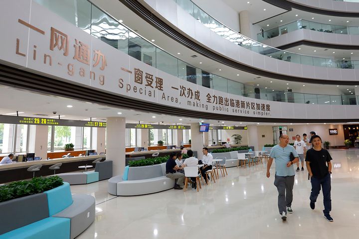 Lingang Company Registrations Leap on New Government Support