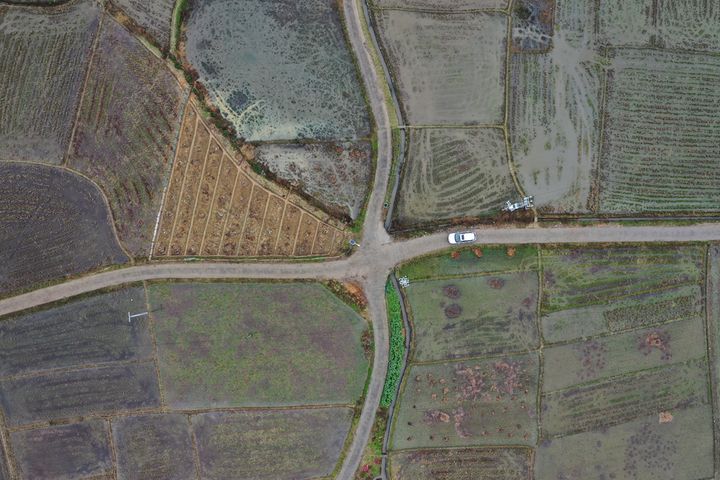 Returning Young Talent From the Cities Drives China's Rural ...