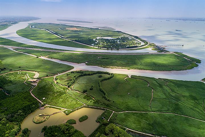 Shanghai Targets Chongming, Lingang in Green Transformation