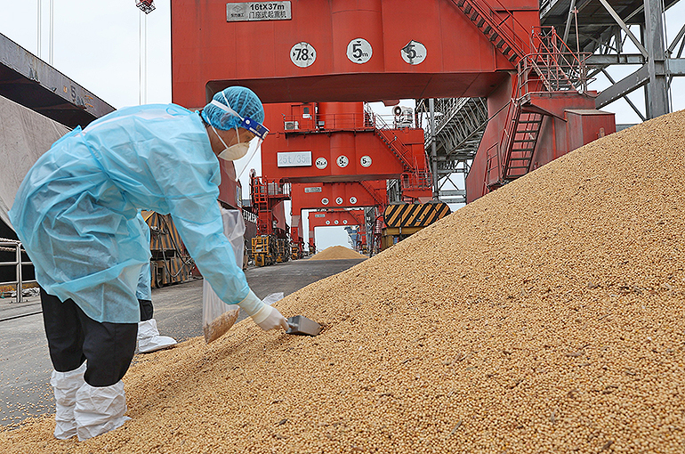 China’s Soybean Imports Jump to Record in May