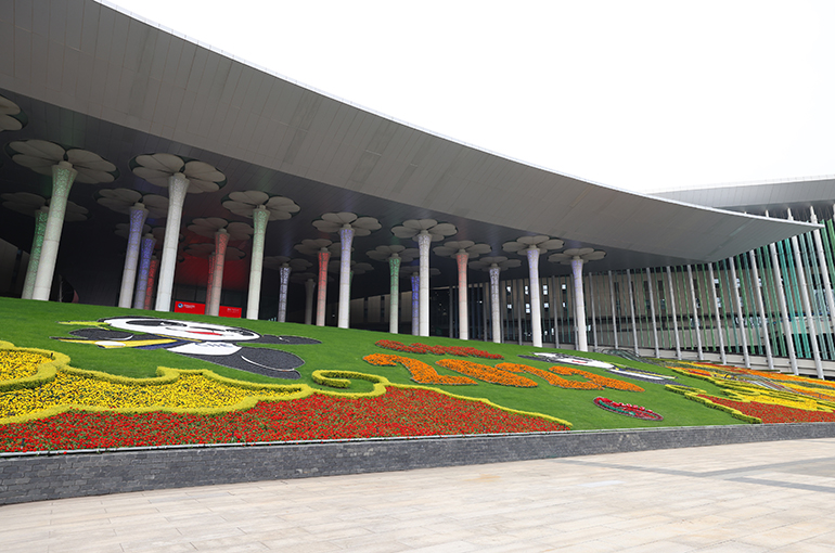 Green Energy Used by This Year’s CIIE Is Likely to Cut CO2 Emissions by ...
